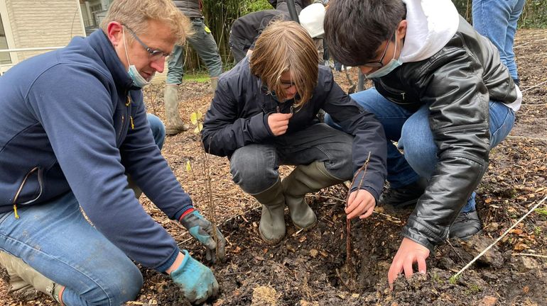 Benoît de Roubaix, des micro-forêts au cœur de nos villes - RTBF Actus Benoît de Roubaix, des micro-forêts au cœur de nos villes - RTBF Actus