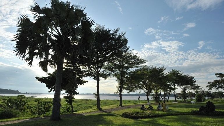 Le Bigfoot : pourquoi le film de Roger Patterson intrigue-t-il les ...