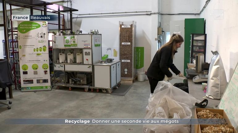 Pourquoi les mégots jetés au sol sont-ils dangereux pour l ...