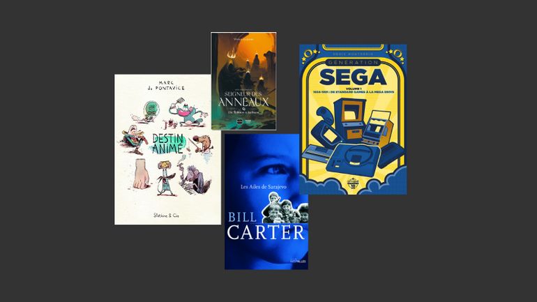 Re-Cycle : NM, VG+, VG-..., à propos de disques vinyles mais qu'est-ce que cela veut dire ...