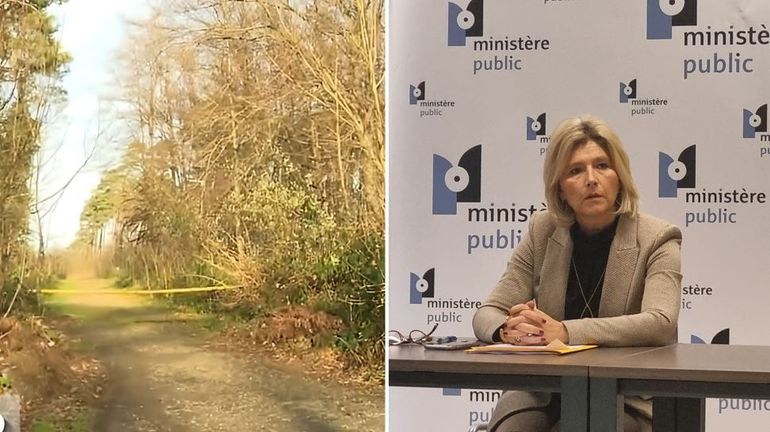 Assassinat d'André Cools : jusqu'à quel point la mafia était-elle ...