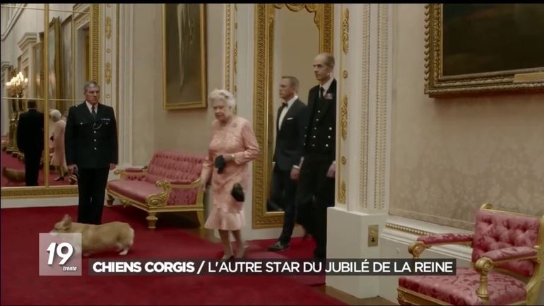 Tout savoir sur les Welsh Corgi, la race de chien préférée de la Reine ...