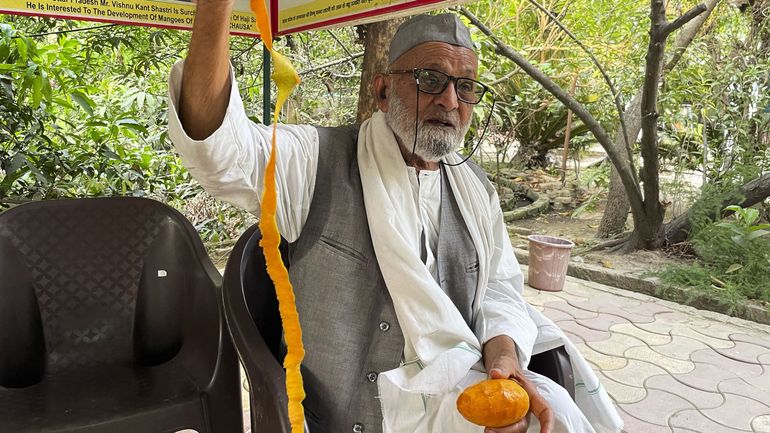 75 ans de l’Inde : une naissance dans le sang et les larmes que ...