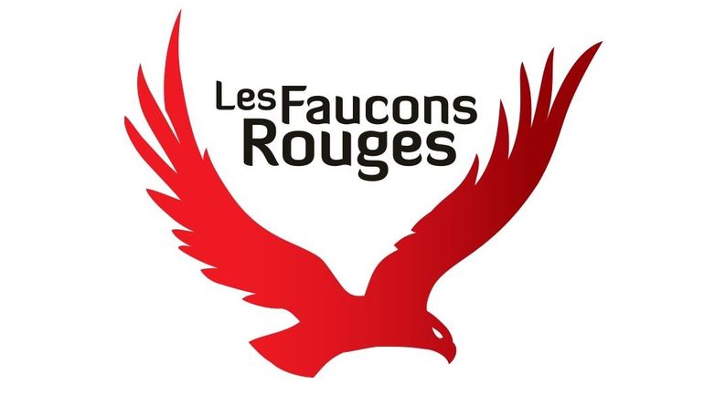 Le mouvement de jeunesse 'Faucons Rouges', basé à Huy, aurait détourné ...