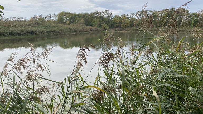 Geer : la réserve naturelle du Haut-Geer est rouverte au public - RTBF ...