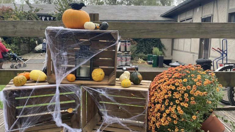 On a testé pour vous le Parc Forestia à Theux - RTBF Actus
