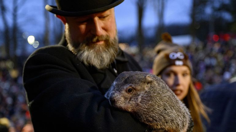 Qu’est-ce que le jour de la marmotte fêté le 2 février aux États-Unis ...