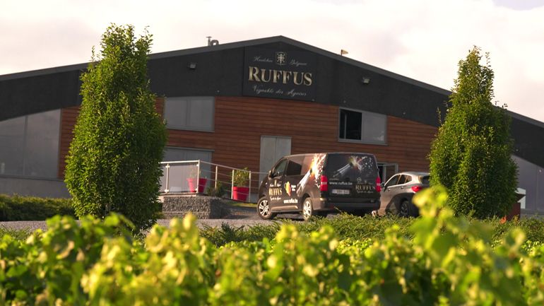 20 ans de bulles chez Ruffus, ça se fête ! - RTBF Actus