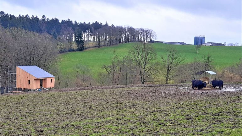Observer et entendre les animaux : bientôt cinq nouveaux lodges au cœur ...
