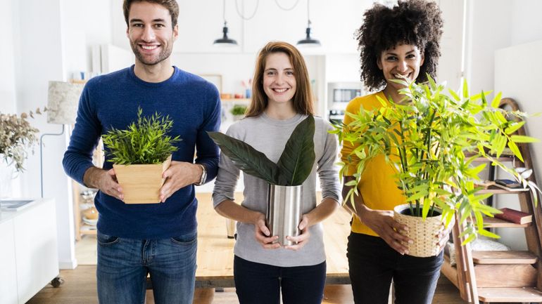 'Il faut supprimer le statut cohabitant' : quels arguments derrière ...