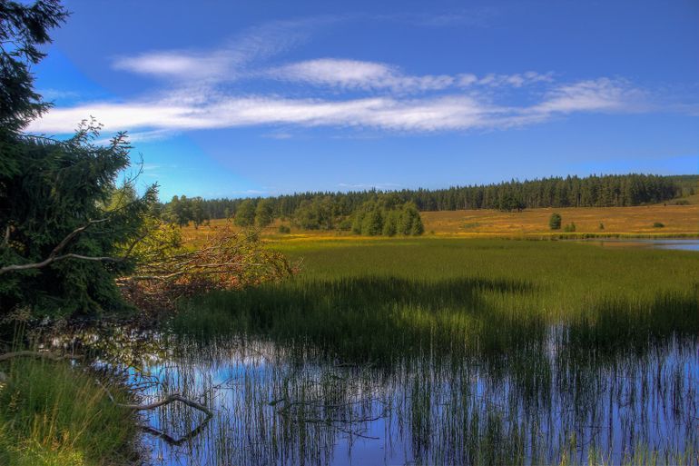 Dans les Hautes Fagnes, à la découverte du Parc naturel Fagnes-Eifel ...