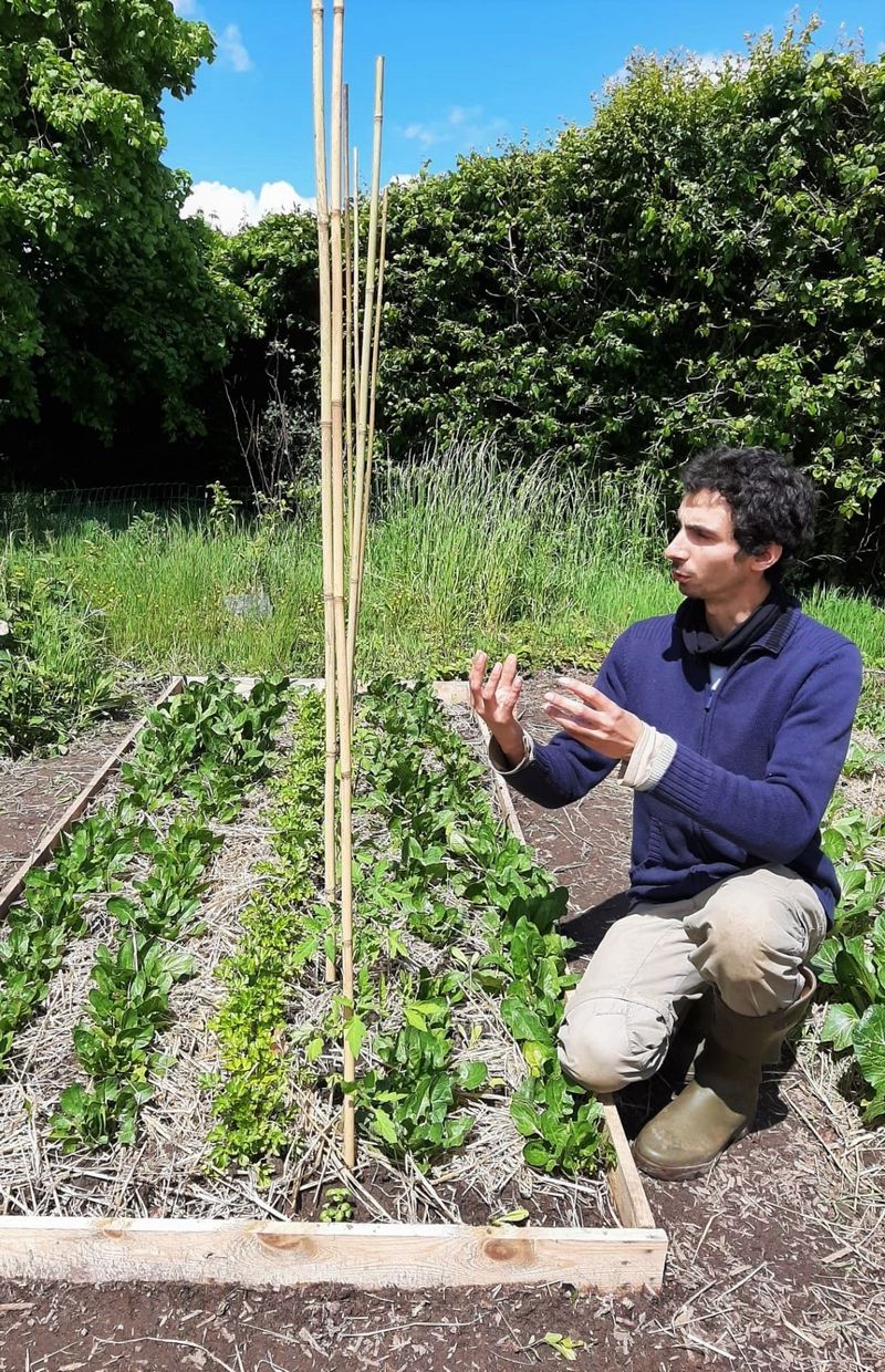 Éconnaissances : des conseils et formations pour votre potager en permaculture - RTBF Actus