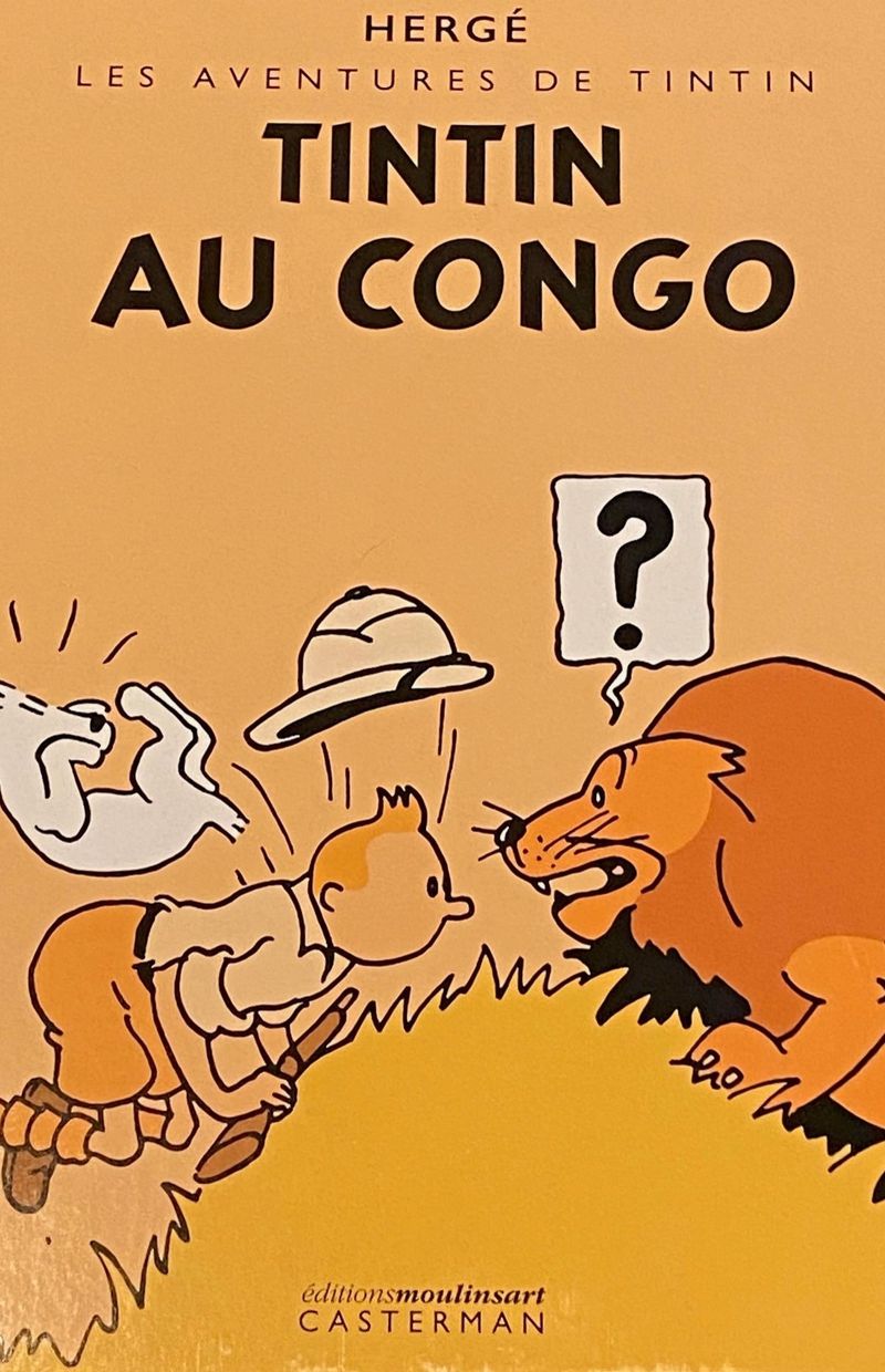 La discrète et polémique réédition de 'Tintin au Congo' avec une préface pour remettre la BD ...