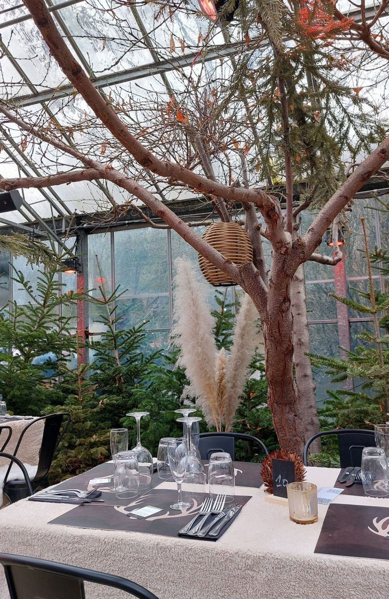 On a testé pour vous les Serres d’hiver à Gesves - RTBF Actus