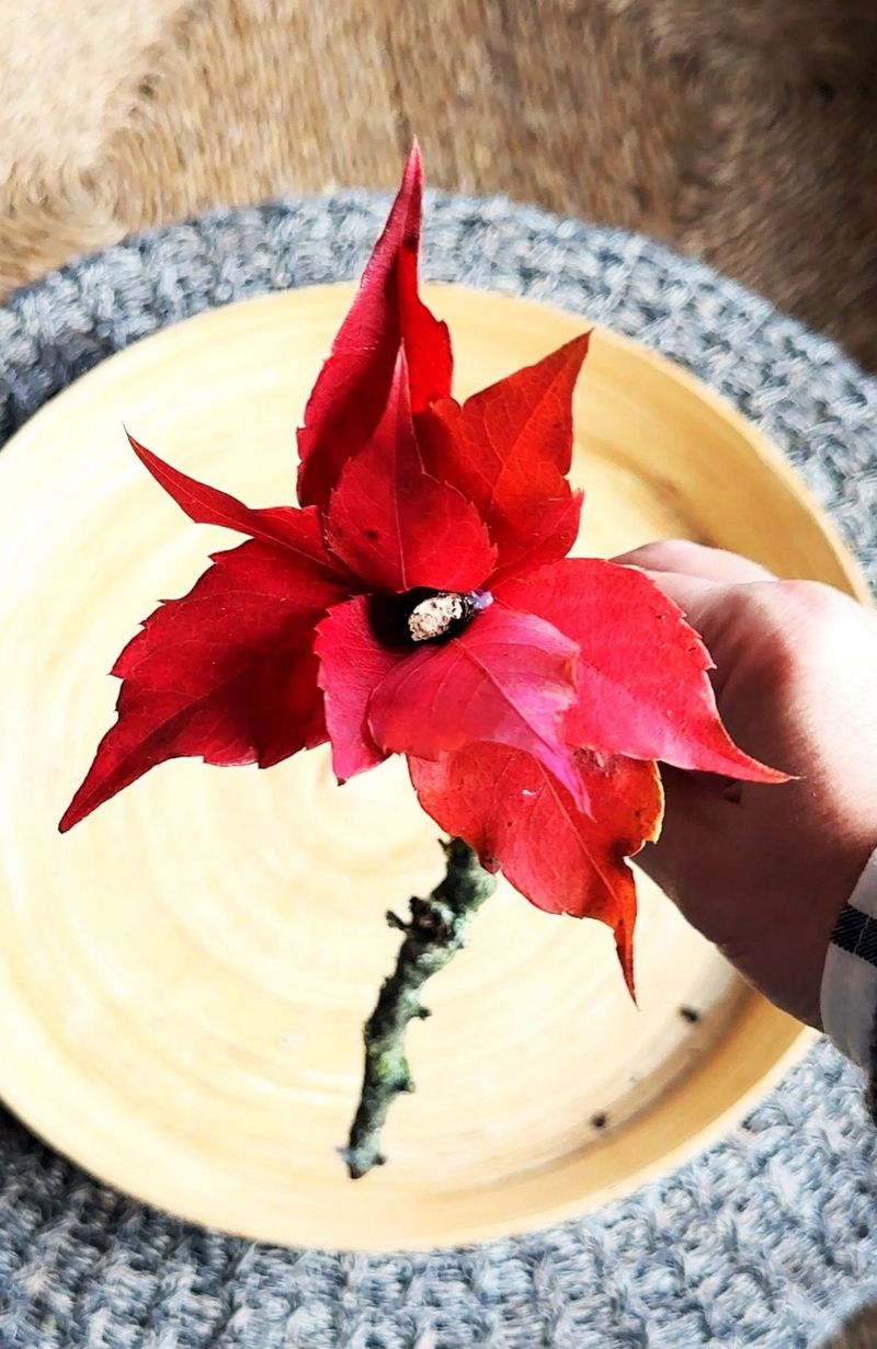 Comment fabriquer des fleurs avec des feuilles mortes ? - RTBF Actus