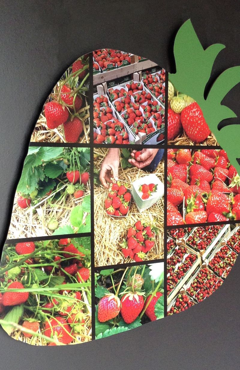 Ramène ta fraise ! – La fabuleuse aventure de la spécialité de Wépion ...