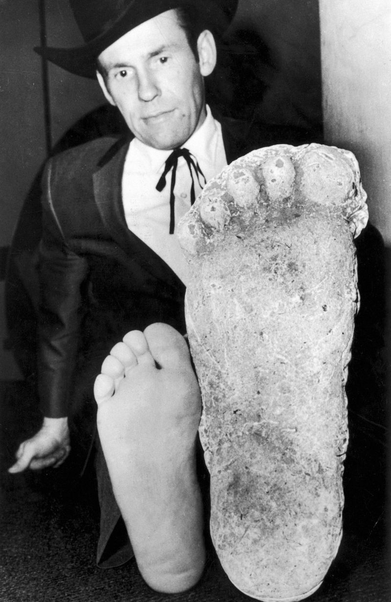 Le Bigfoot : pourquoi le film de Roger Patterson intrigue-t-il les ...