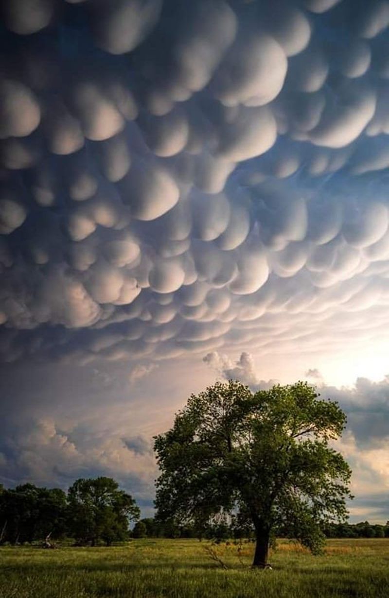 De cumulus à stratus : quelles sont les principales familles de nuages ...