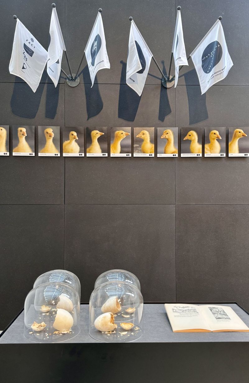 Stellar Scape : la nouvelle conquête spatiale au Pavillon à la citadelle de Namur - RTBF Actus