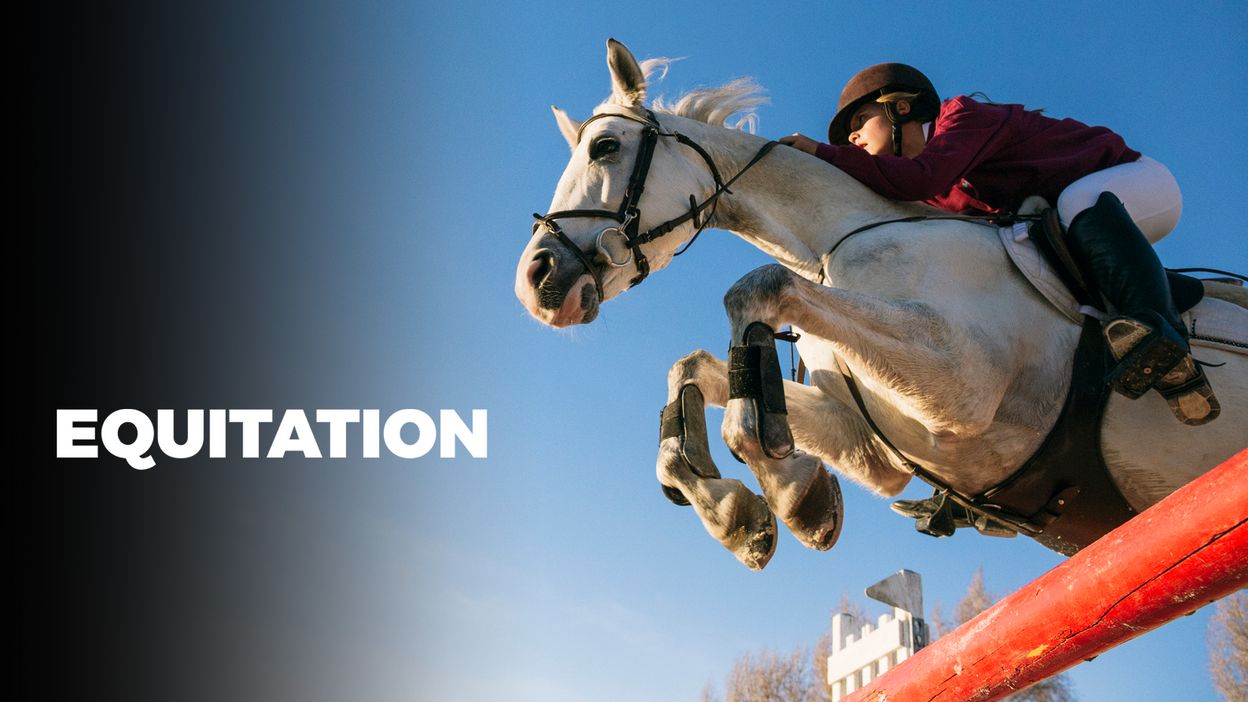 Direct vidéo - Equitation : suivez le Stephex Masters de Bruxelles ...