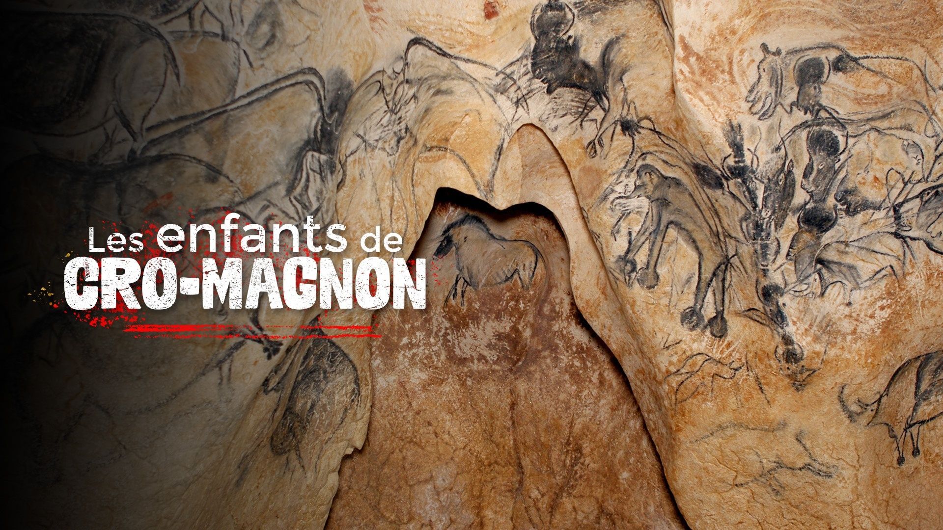 Les enfants de Cro-Magnon - Auvio