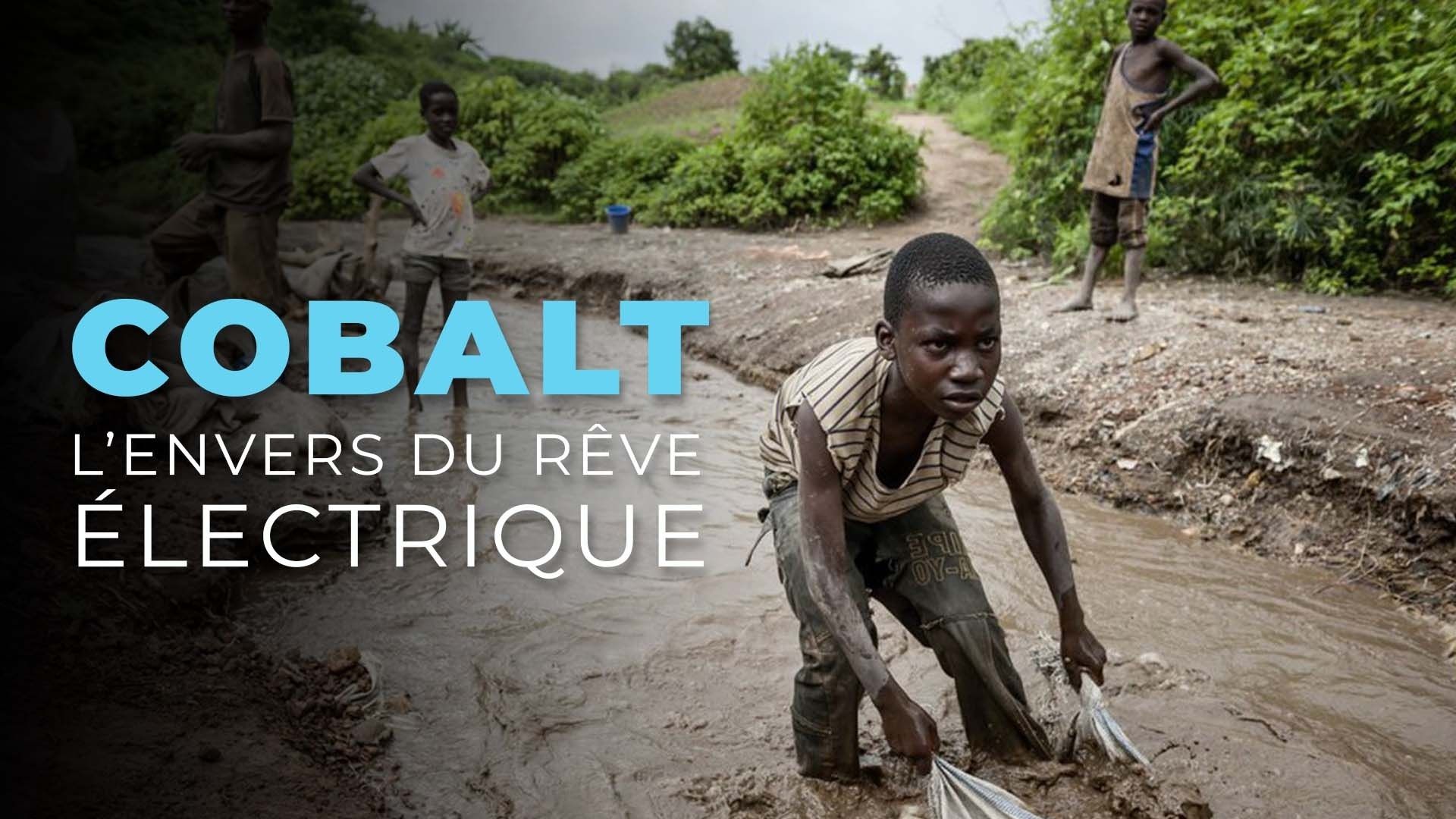 Cobalt, l'envers du rêve électrique - Auvio