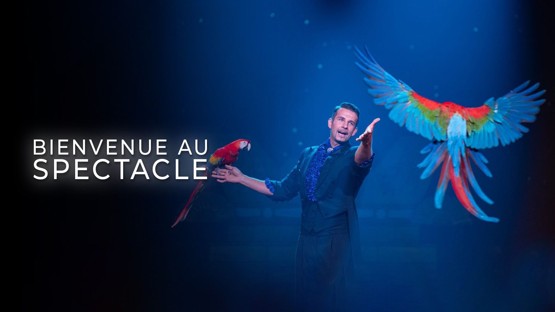 Bienvenue au Spectacle ! - Auvio