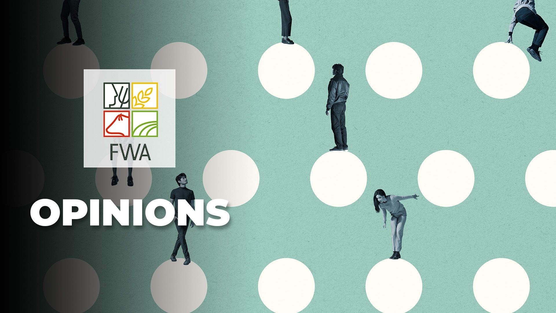 Opinions, FWA - Auvio