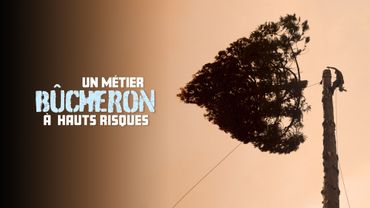 Programme TV : retrouvez le guide TV des chaînes de la RTBF (La Une ...