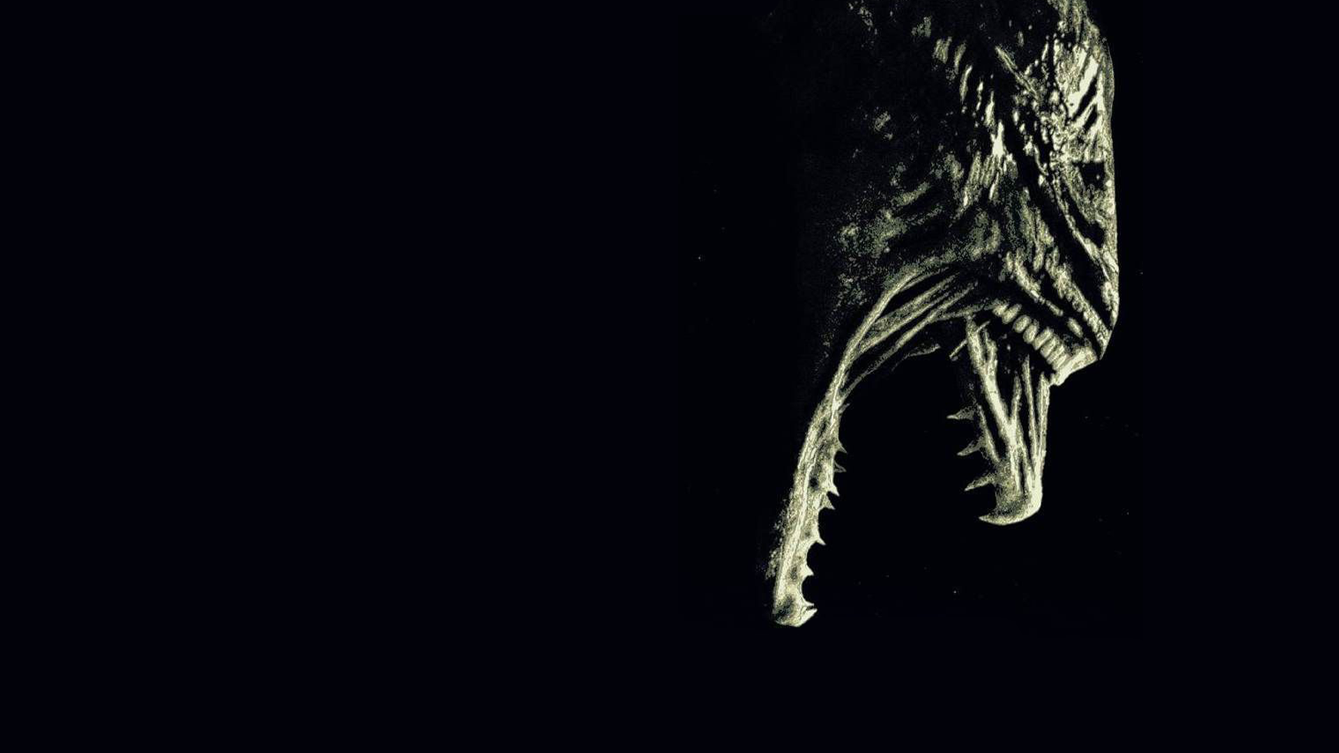 Alien : Covenant - Film en streaming gratuit - Auvio